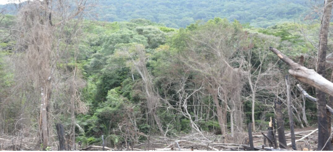 OP-Ed World Environment Day - Women Voices Newspaper