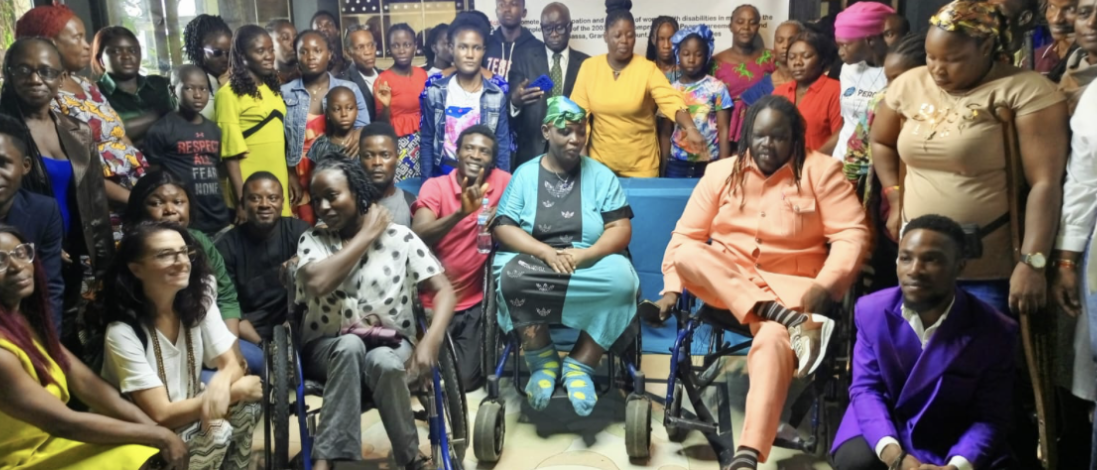 Disabled Group, Partner Dialogue On Barriers Hampering Disabled Women's ...