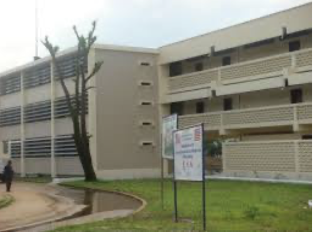 TNIMA to Become Degree-Granting Institution - Women Voices Newspaper