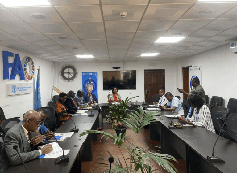 UN, Liberia Map Out Shared Vision for Sustainable Future - Women Voices ...