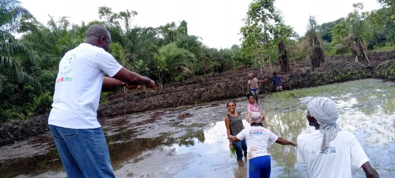 GOL, UNDP to Launch SARTLA Climate Resilience Project - Women Voices ...